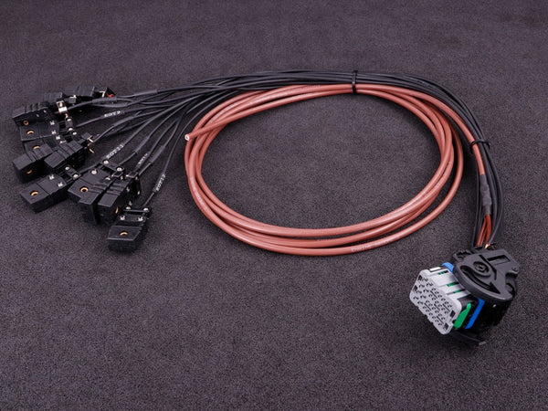 MaxxECU PRO Flying Lead Harness Connector 2 – Impact Wiring Solutions